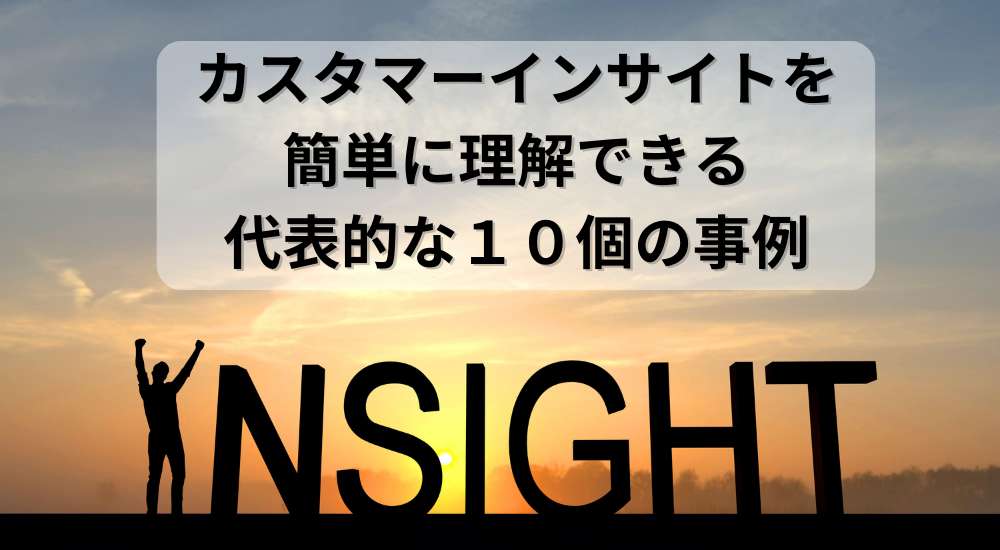 カスタマーインサイトを簡単に理解できる代表的な10個の事例